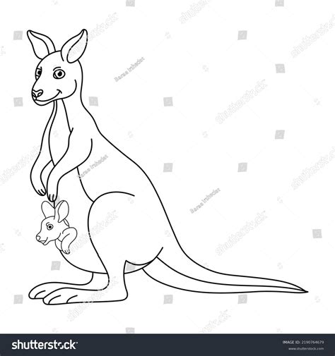 Kangaroo Outline Vector Illustration Black Silhouette Stock Vector Royalty Free 2190764679