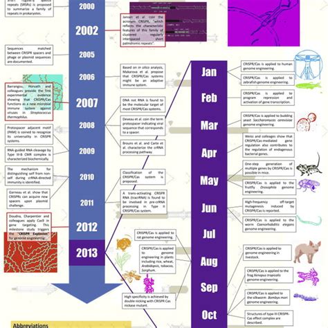 Two Component Crisprcas9 System For Genome Editing Download