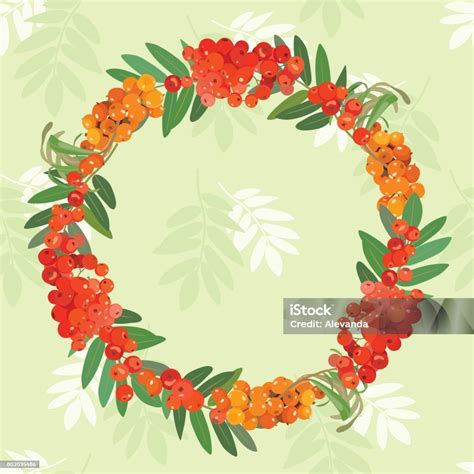 바다 갈 매 나무속 및 마가 목 엽서 패턴입니다 벡터 일러스트입니다 0명에 대한 스톡 벡터 아트 및 기타 이미지 0명 가을 계절 Istock