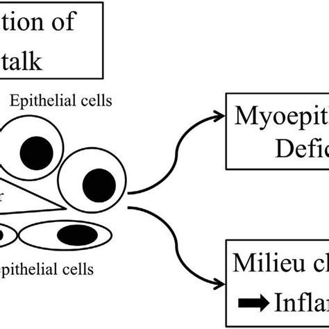Dcis Progression Model The Spatial Disruption Of Crosstalk Between Download Scientific Diagram