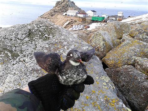 ‘its Just Like Groundhog Day Or A Time Machine Life On Big Diomede