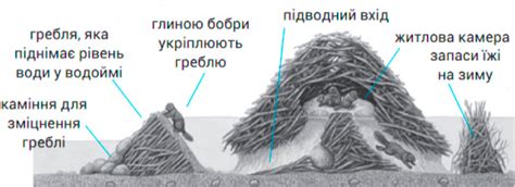 ДИСТАНЦІЙНЕ НАВЧАННЯ — Тема 3