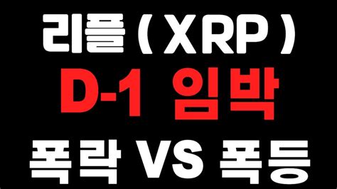 리플코인 D 1 임박 폭락 Vs 폭등 불독코인비트코인급등코인코인단타 Youtube
