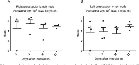 Figure 1 From Development Of A BCG Challenge Model For The Testing Of Vaccine Candidates Against
