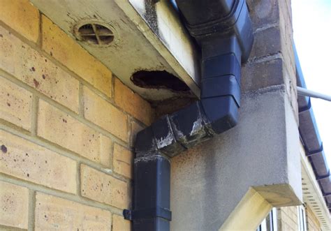 Patching Soffit Board Diynot Forums
