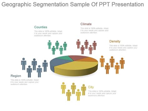 Geographic Segmentation Sample Of Ppt Presentation Powerpoint