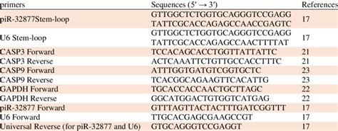 Quantitative Real Time Pcr Qrt Pcr Primers Download Scientific Diagram