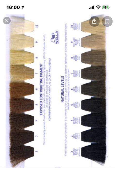 Underlying Pigment Chart Salon Geek Salon Professionals Forum
