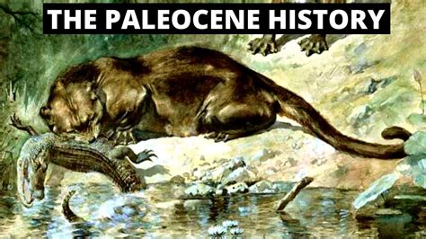 Paleocene Primates