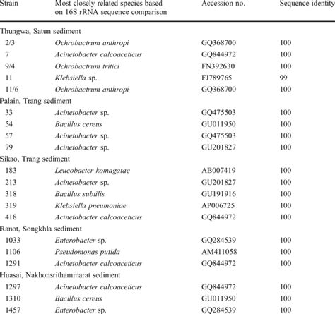 Identification Of Selected Biosurfactant Producing Bacterial Isolates