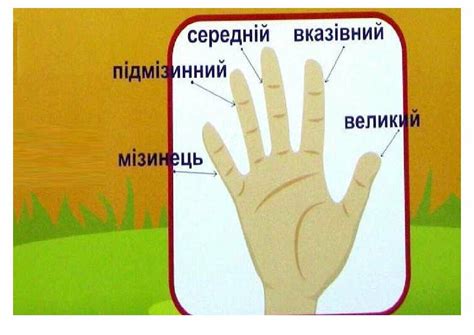 Урок на тему Будова тіла людини Конспект Я досліджую світ