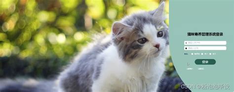 【附源码】python计算机毕业设计猫咪寄养管理系统python开发猫咪喂食系统 Csdn博客 【附源码】python计算机毕业设计猫咪寄养管理系统python开发猫咪喂食系统 Csdn博客