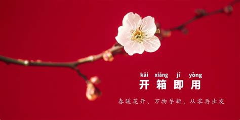 全新开箱即用的 PHP Laravel 开发环境Coding 让新手学习入门更简单 Coding