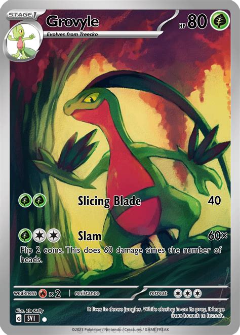 Grovyle Riokelly Poké