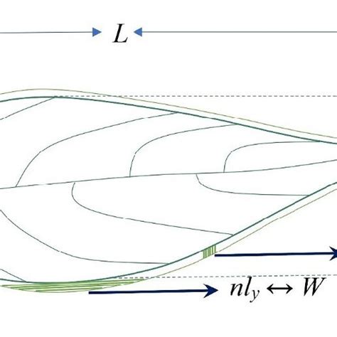 Visualisation Of A Narrow Leaf Environment Diffuse Interface We Assume