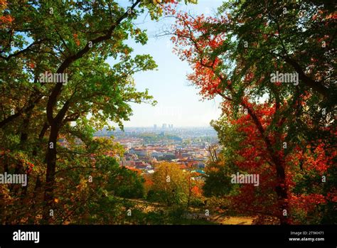 A Cityscape In Fall With Colorful Trees In The Foreground And Buildings