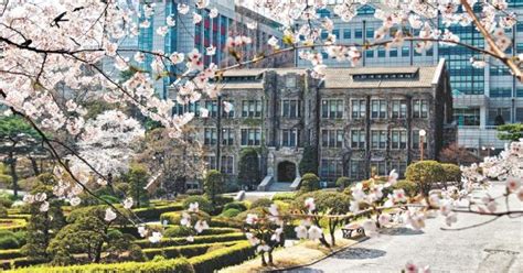 연세대 인공지능ai 대학원 신규 선정