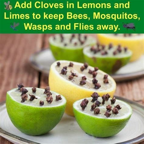 How To Make Natural Homemade Mosquito Repellent With Only 5 Ingredients