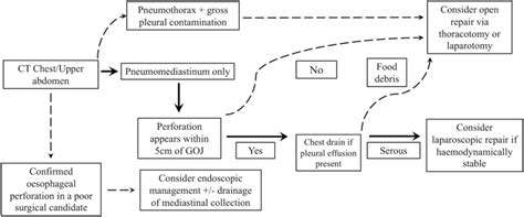 The Algorithm We Utilised To Guide Selection Of Patients For Download Scientific Diagram