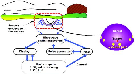 A Typical Microwave Imaging System In Which The Proposed Antenna Array