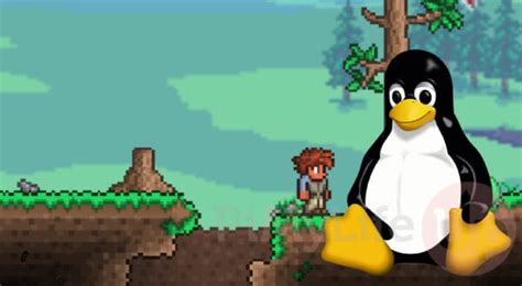 Running A Terraria Server On Linux Pi My Life Up