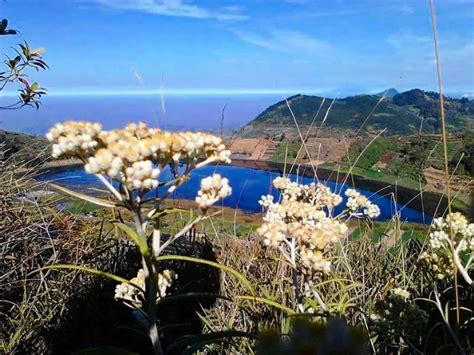Pesona Telaga Merdada Telaga Terluas Di Dataran Tinggi Dieng
