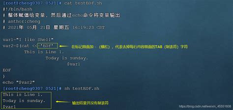 自动化运维必须要学的shell脚本之——免交互操作，分分钟解放双手！不进行点对点连接就可以执行批量shell文件的工具 Csdn博客