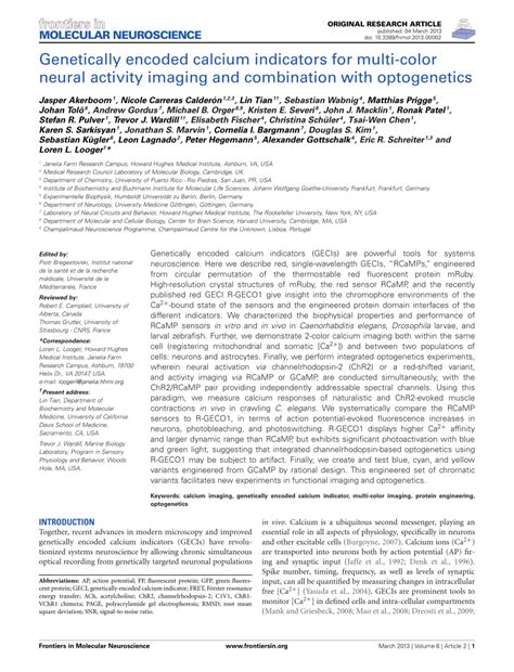 Pdf Genetically Encoded Calcium Indicators For Multi Color Neural