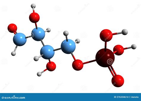 3d Image Of Erythrose 4 Phosphate Skeletal Formula Stock Illustration