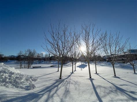 Department Of Mathematics And Mathematical Statistics On Linkedin Welcome To Next Weeks