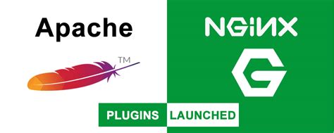 Stop Bots With Radware Bot Manager S New Apache And Nginx Server Plugins