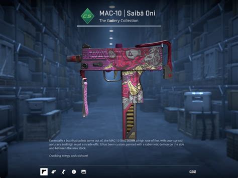 What Can I Get In The Gallery Case In CS