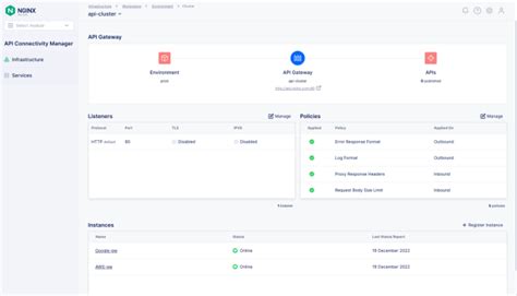 api connectivity manager 를 통해 api gateway 고가용성 유지 nginx store