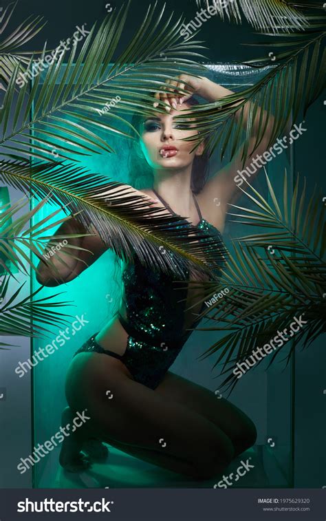 imágenes de Sexy trees Imágenes fotos y vectores de stock Shutterstock