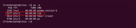 Reptyr Move Working Process Into Another Terminal Session Without