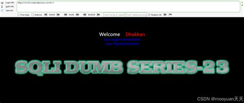 Sqli Labs通关笔记 第23关 Get字符型注入单引号闭合 过滤注释符 手工注入脚本注入两种方法