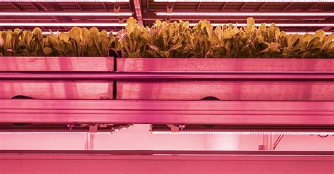 Imaging In The Visible To Nir The Specim Fx10 Hyperspectral Camera Can