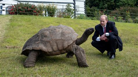 Prince Edward Meets Worlds Oldest Living Land Animal Who Was Alive