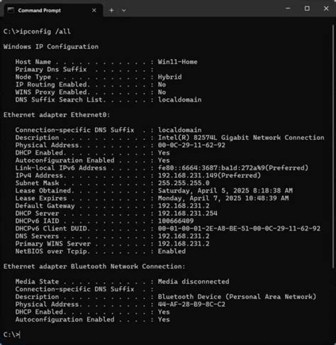 Common Networking Commands Online Computer Tips