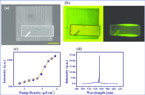 high density uniform perovskite microlaser array a top view sem download scientific diagram