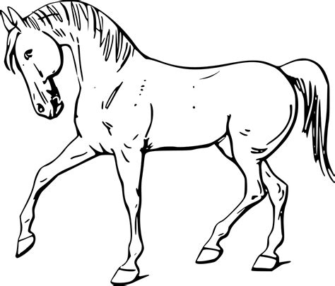 Free Horse Outline Vector Art Download 2301 Horse Outline Icons