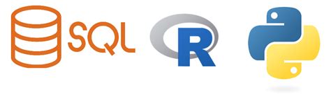 Top 11 Data Science Skills To Master In 2025