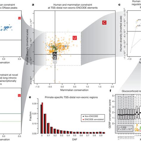 Pdf The Encode Project Consortium An Integrated Encyclopedia Of Dna