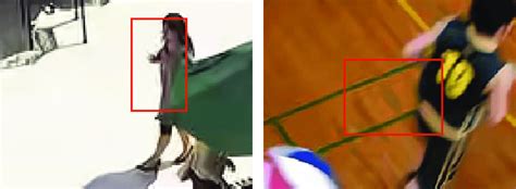 An Example Of Ringing Artifacts In Coded Frames Download Scientific Diagram