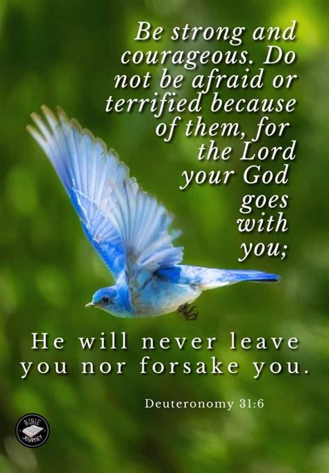 Deuteronomy 316 Niv Picture Bible Verses