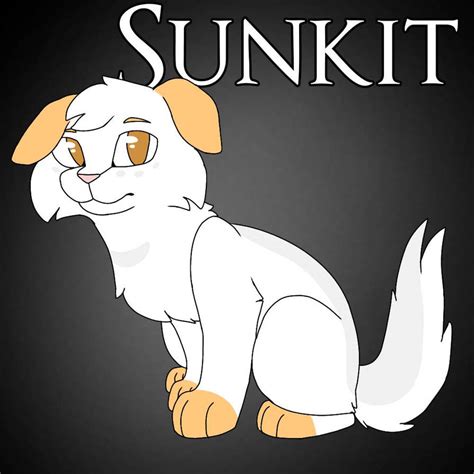 elementals oc sunkit by t0rnad01 on deviantart