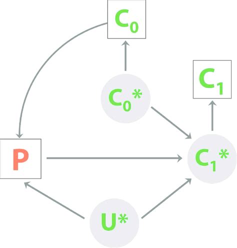 Evaluation Framework Conceptual Framework For The Evaluation Of CCM In Download Scientific
