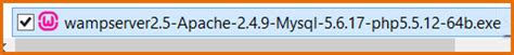 How To Host Your Own Website On WAMP Server