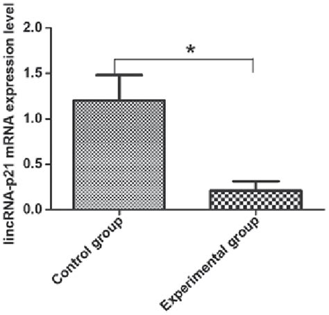 Effects Of Sirna Interference With Lincrna P21 Sirna Small