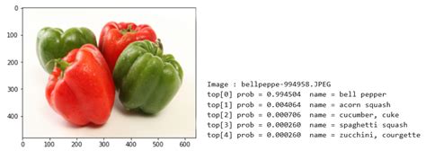 Efficient Edge Ai Application Deployment For Fpgas